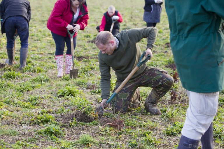 Premier Paper - Premier to plant 3,000 trees, adding to the UK’s ...
